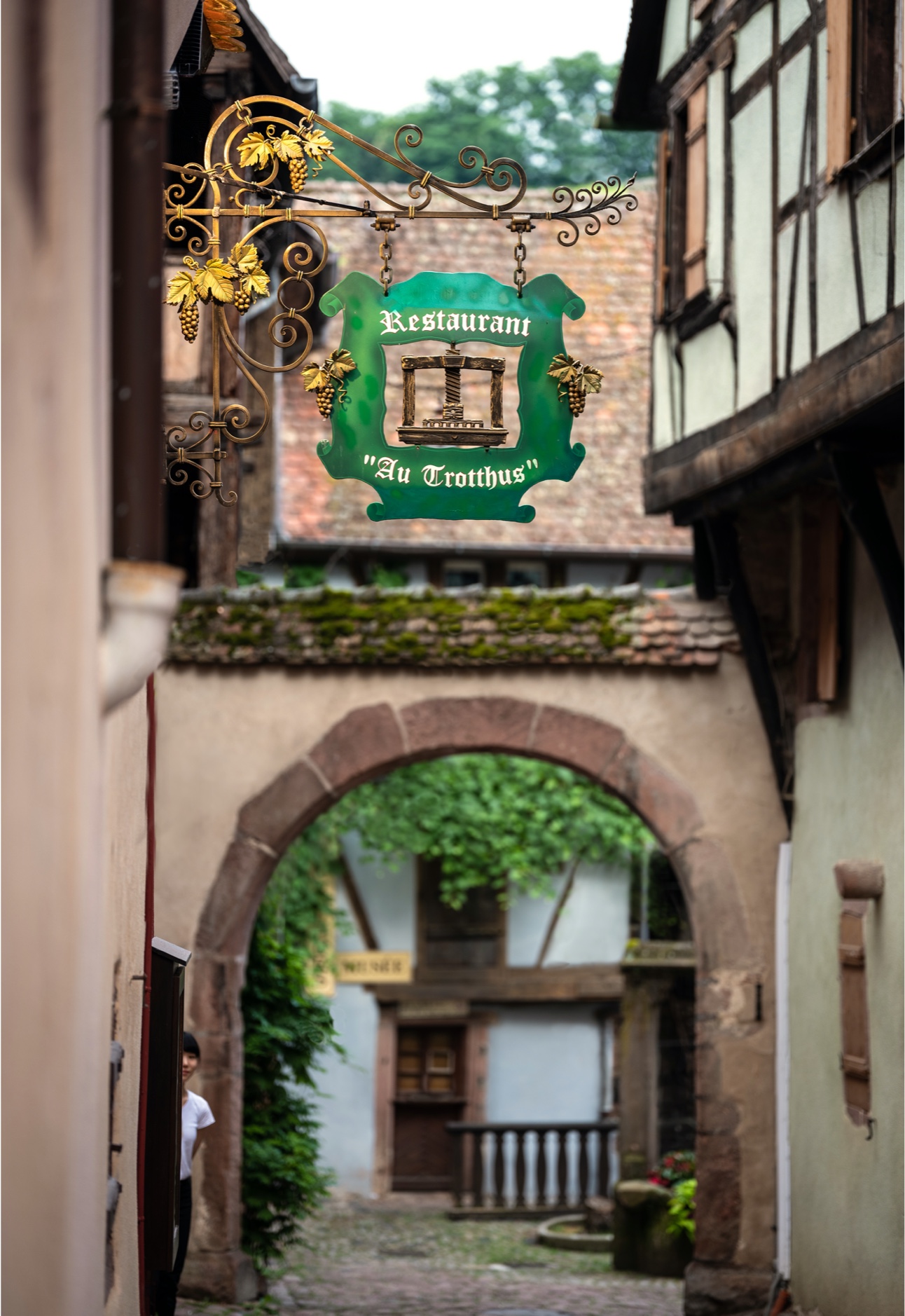 One Land, A Thousand Terroirs