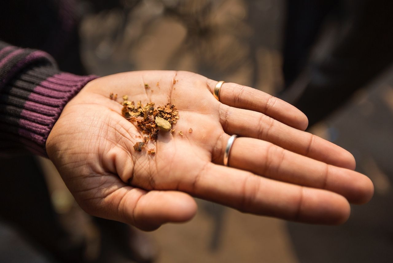 Spice World | Tasting Kitchen (TK)