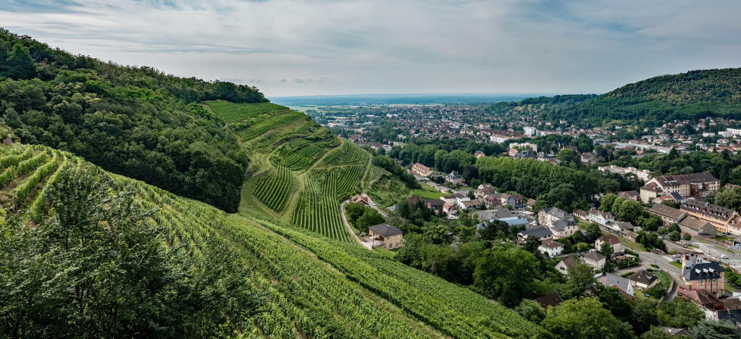 One Land, A Thousand Terroirs