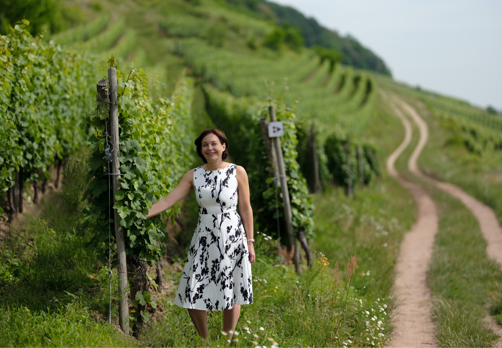 One Land, A Thousand Terroirs