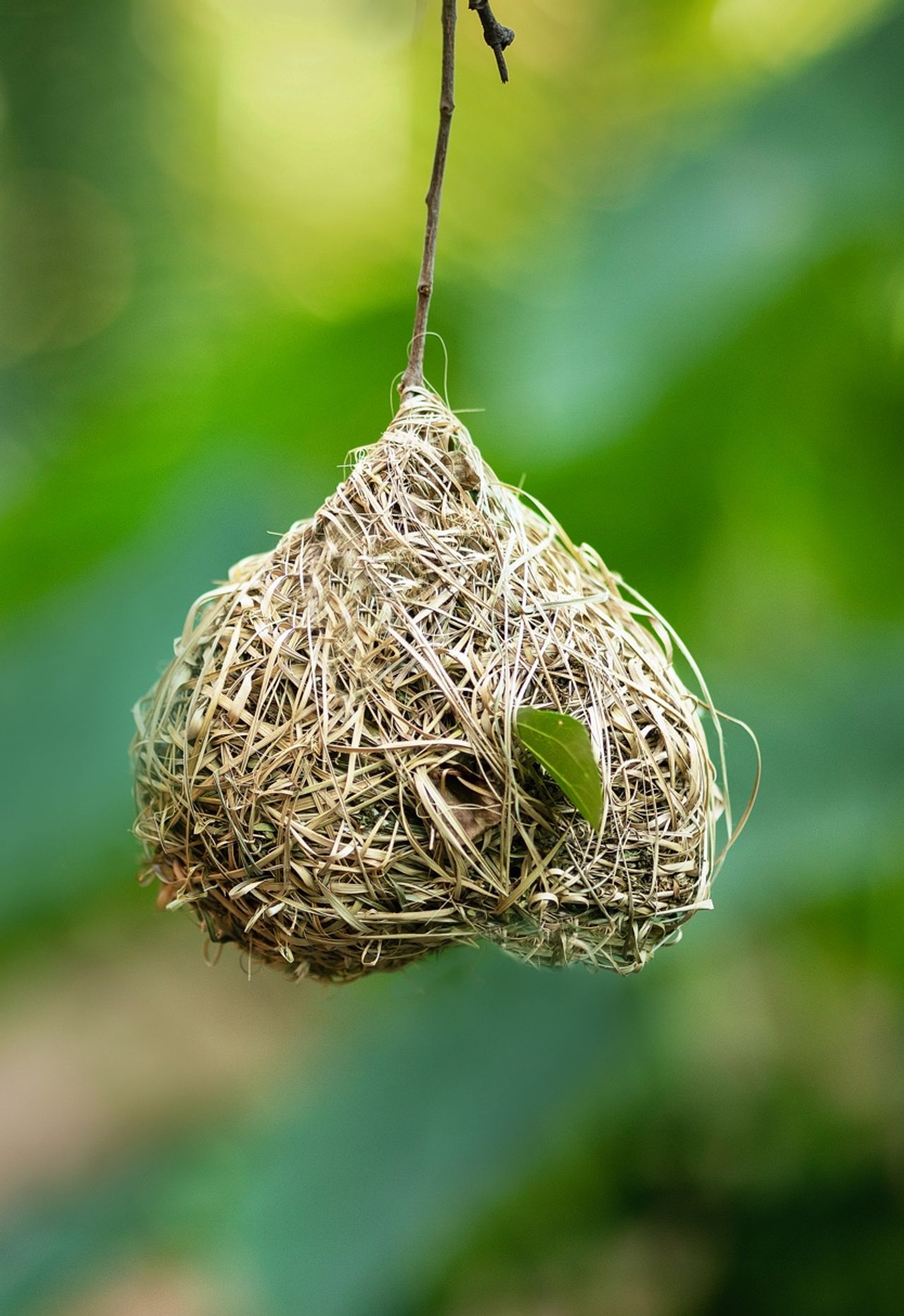 Flower Powered | Tasting Kitchen (TK)