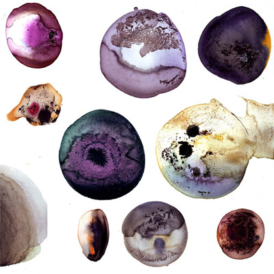 The Wizard of Ink | Tasting Kitchen (TK)