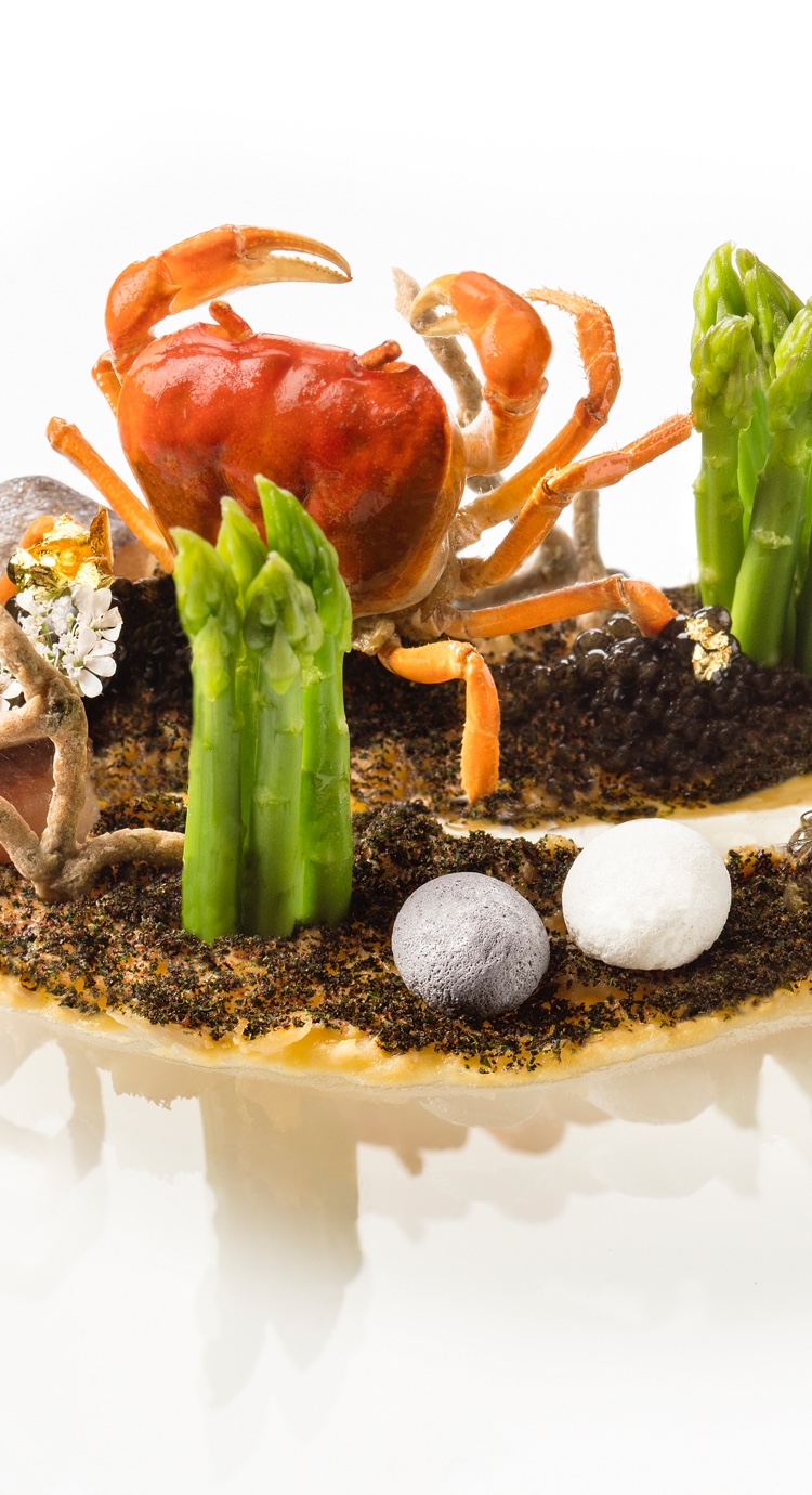 Ingredients for Enchantment