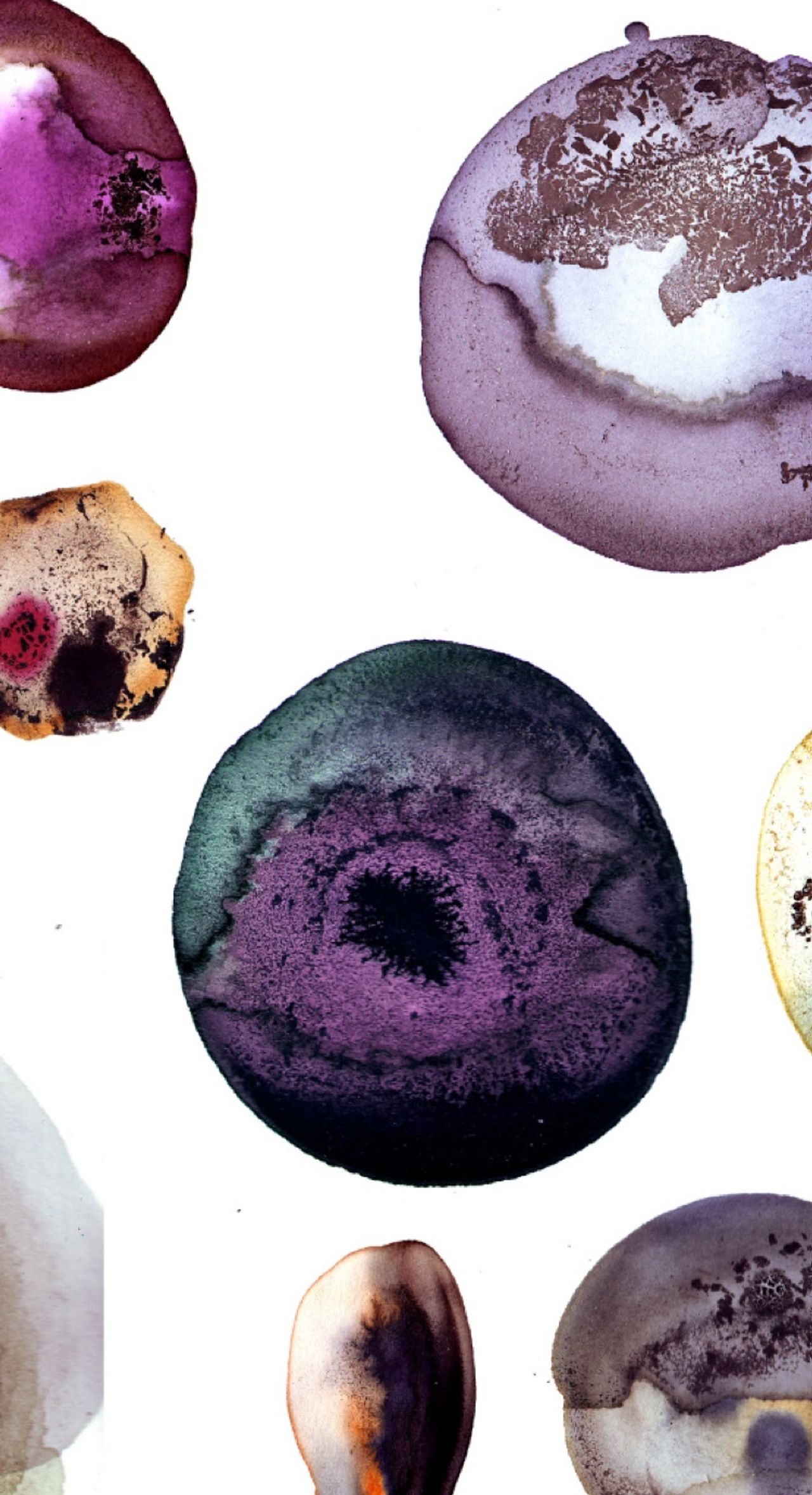 The Wizard of Ink | Tasting Kitchen (TK)