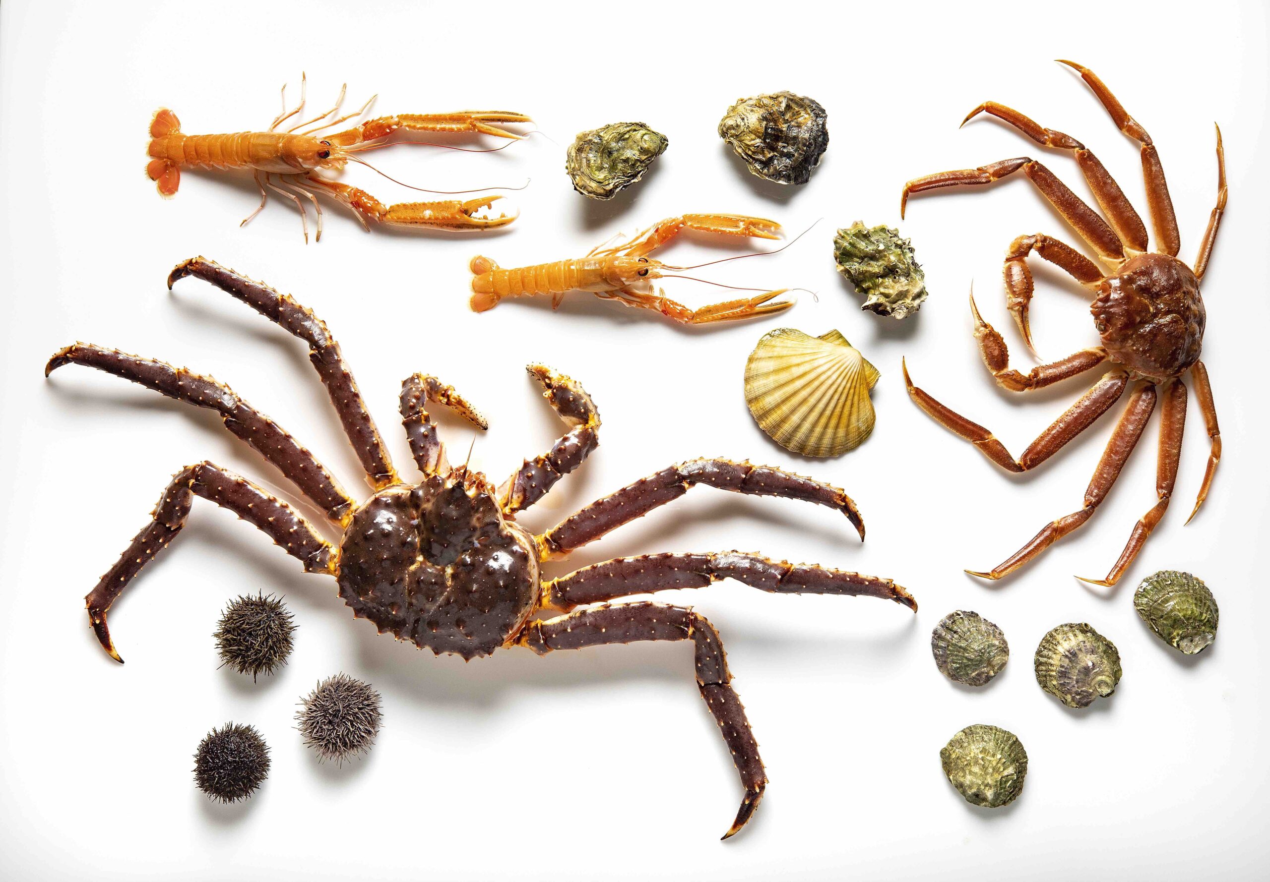 Norway’s Ocean Treasures