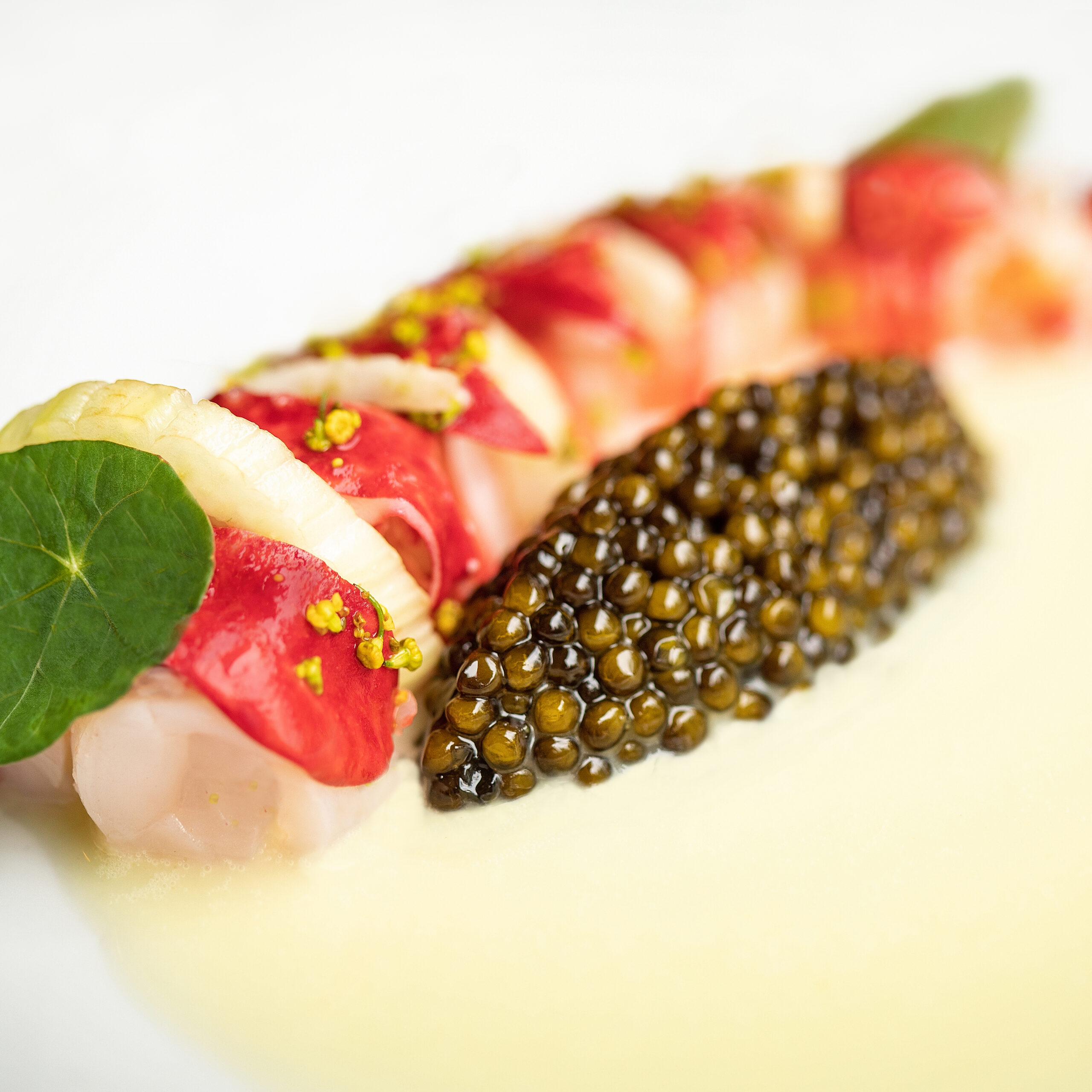 Really French | Louise | Tasting Kitchen (TK)