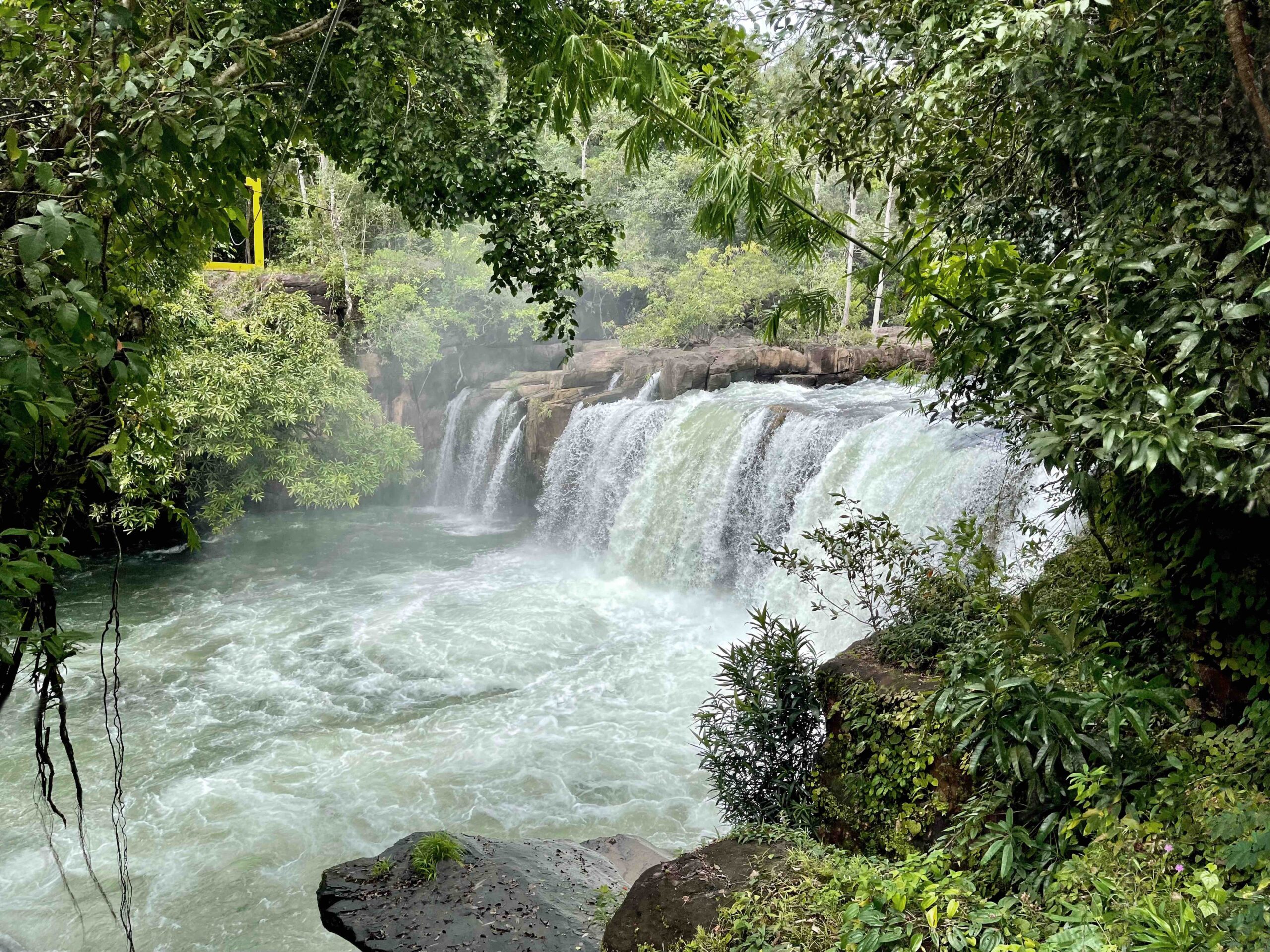 Wildest Dreams | Shinta Mani Wild | Tasting Kitchen (TK)