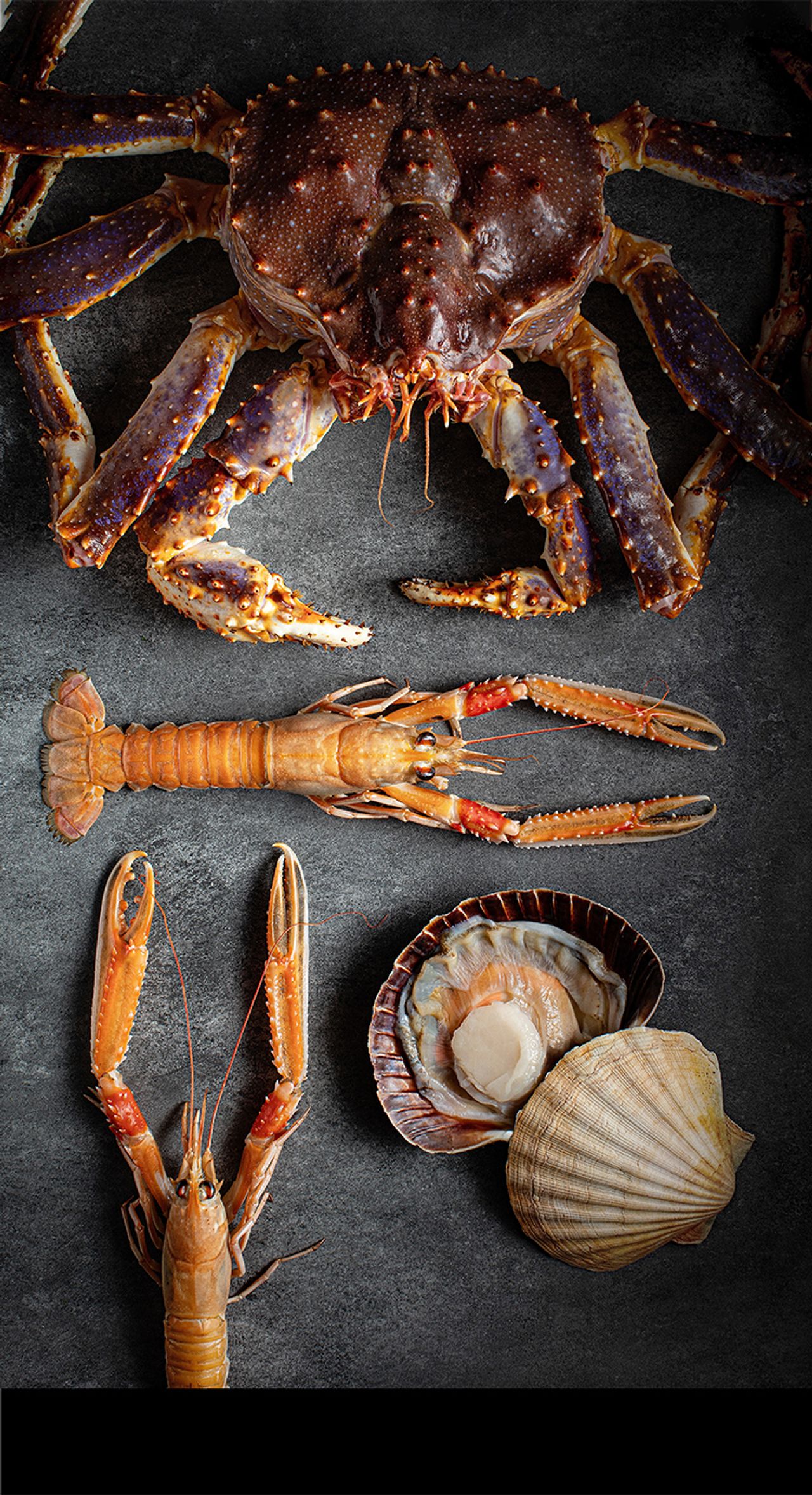 Flavors of the Deep | The Norwegian Seafood Council | Tasting Kitchen (TK)