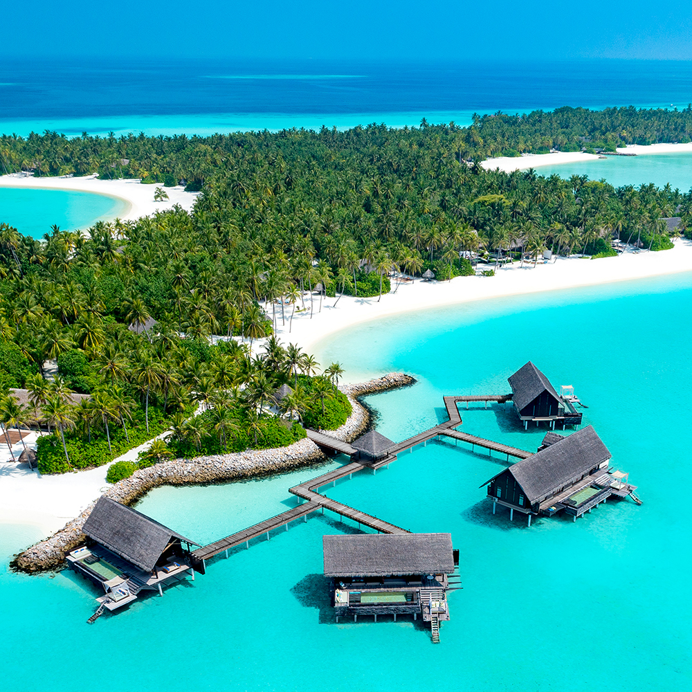 Beautiful Island One Only Reethi Rah Tasting Kitchen Tk