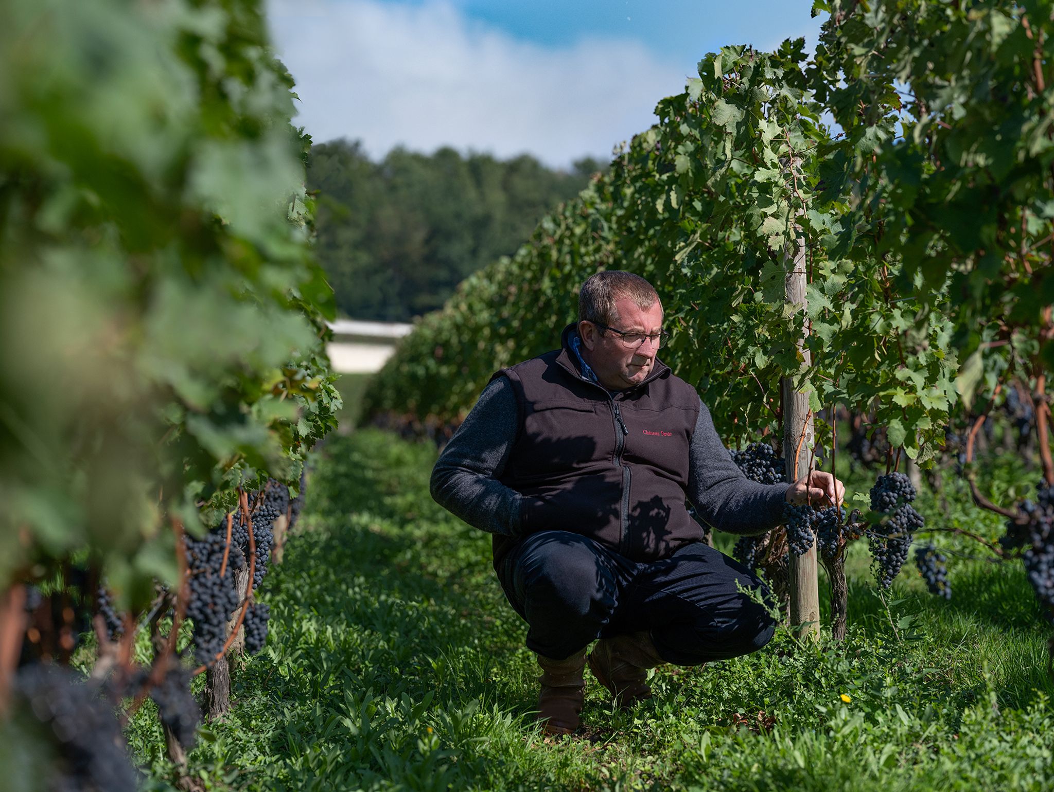 Rigorous to a Fault | Château Pavie | Tasting Kitchen (TK)
