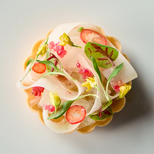 Twelve Plates, One Voice | At Cadence by Dan Bark | Tasting Kitchen (TK)